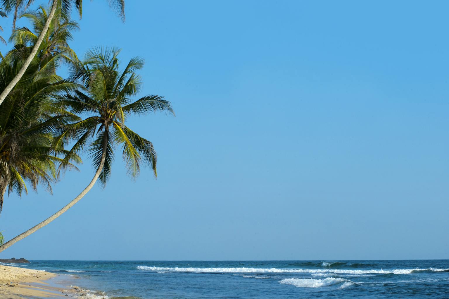 Romance, Adventure, & Fun in the Sun: 9 Things to Do in Barbados for ...